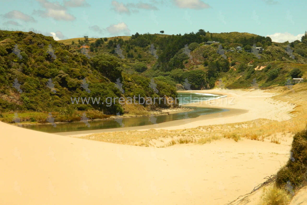 Awana Campground - Great Barrier Island