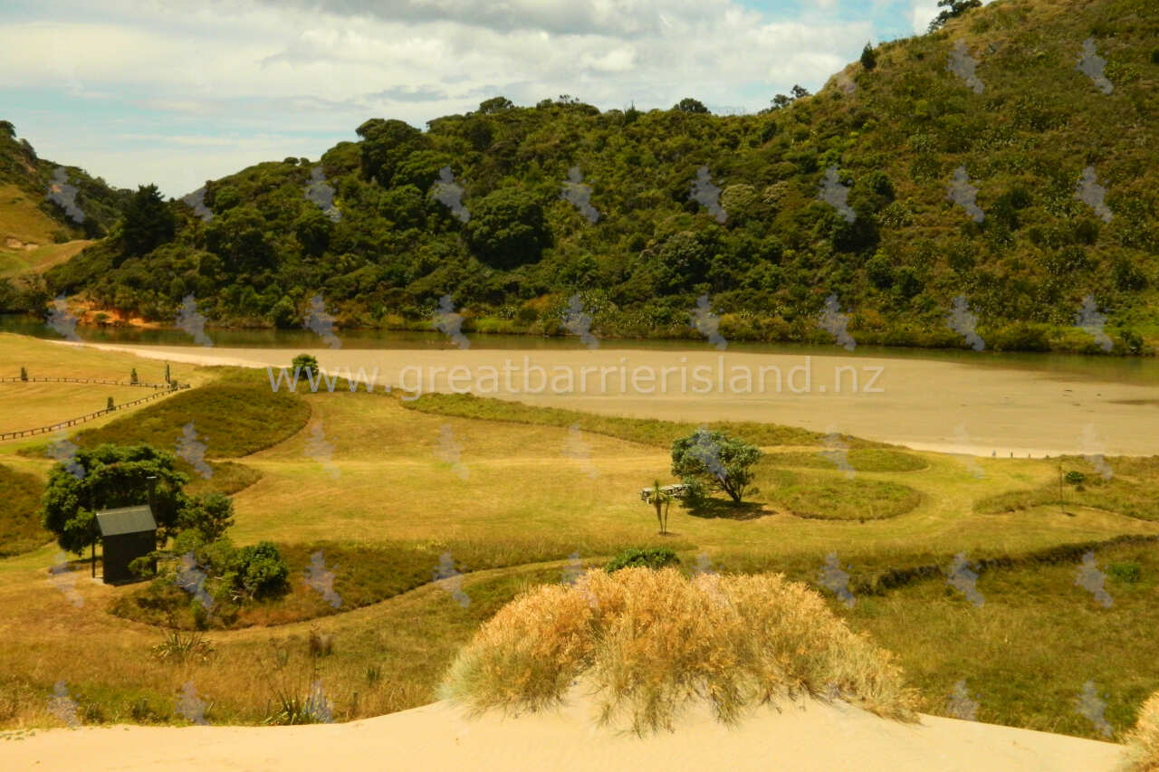 Awana Campground - Great Barrier Island