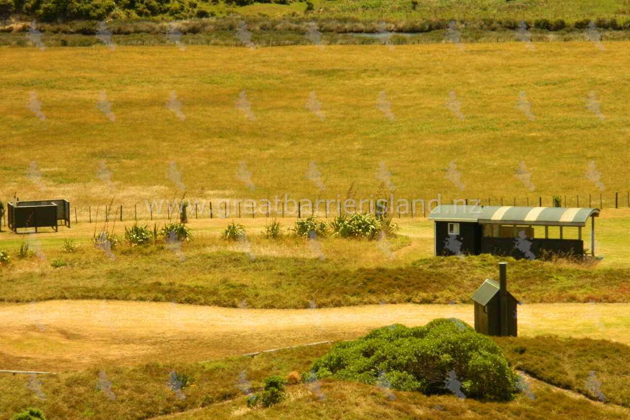 Awana Campground - Great Barrier Island