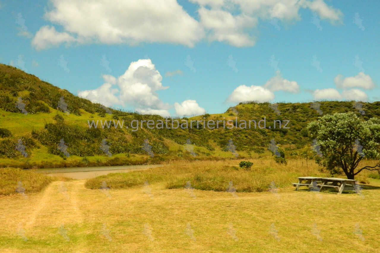 Awana Campground - Great Barrier Island