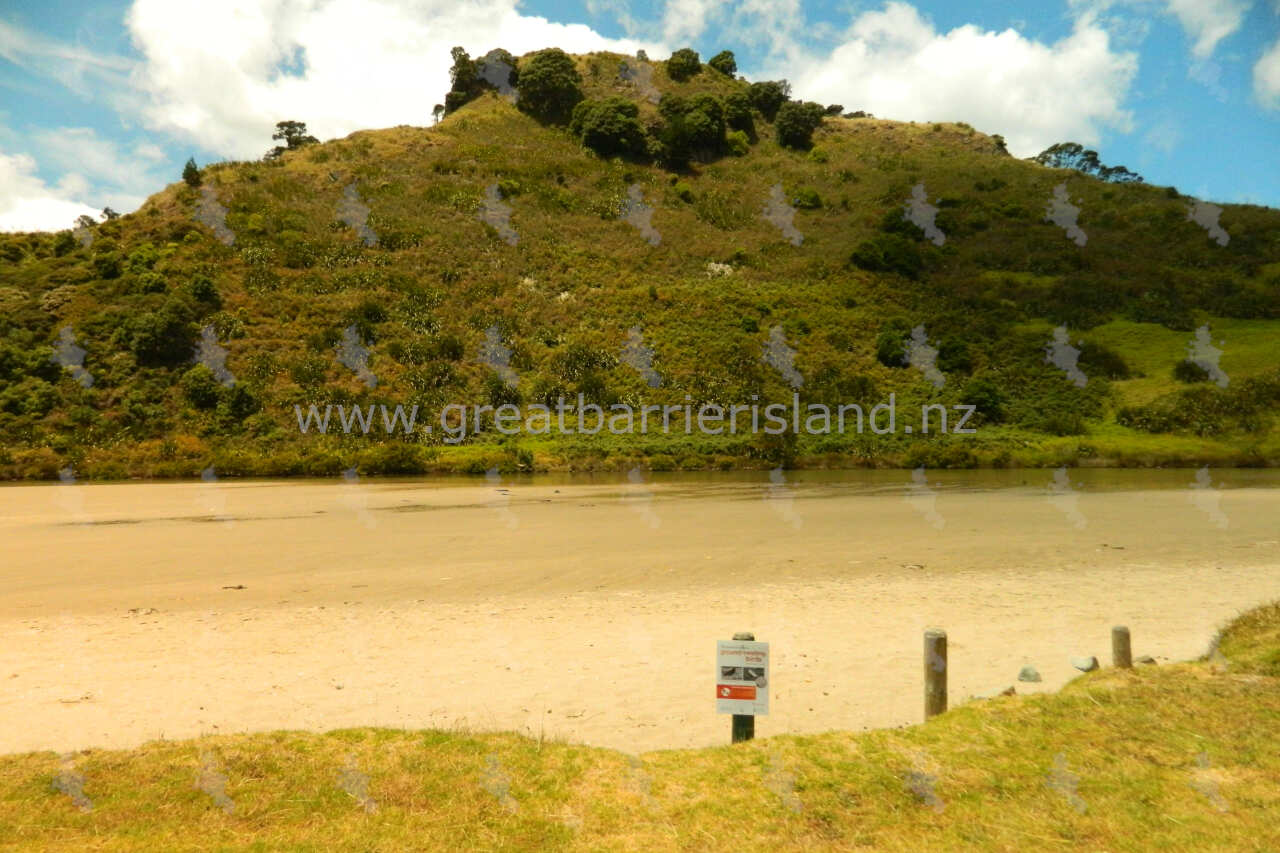 Awana Campground - Great Barrier Island