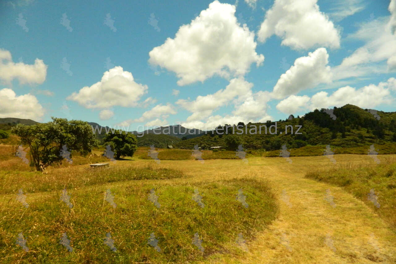 Awana Campground - Great Barrier Island
