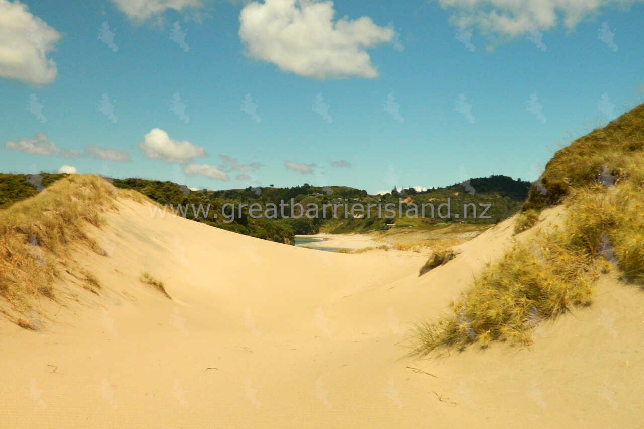 Awana Campground - Great Barrier Island