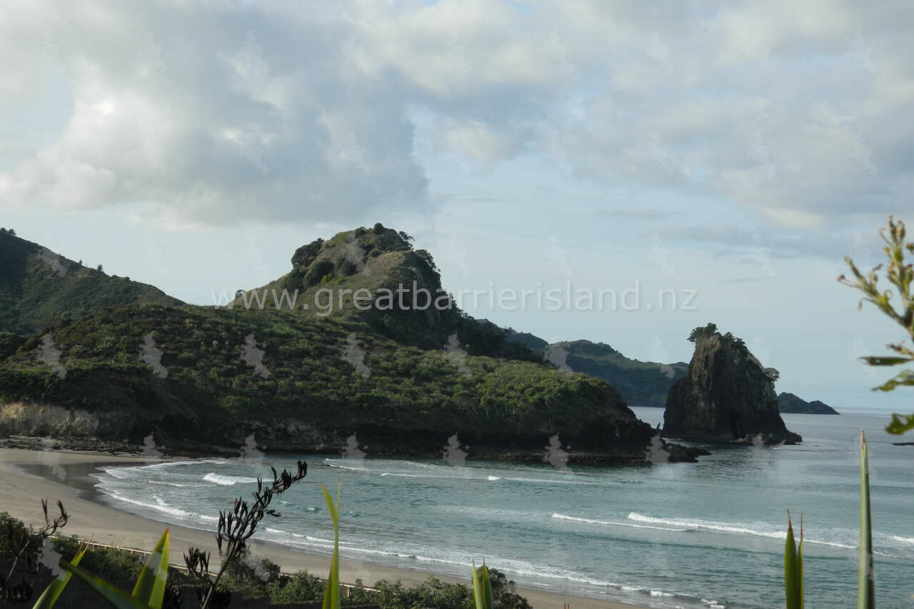 Awana Bay - Great Barrier Island