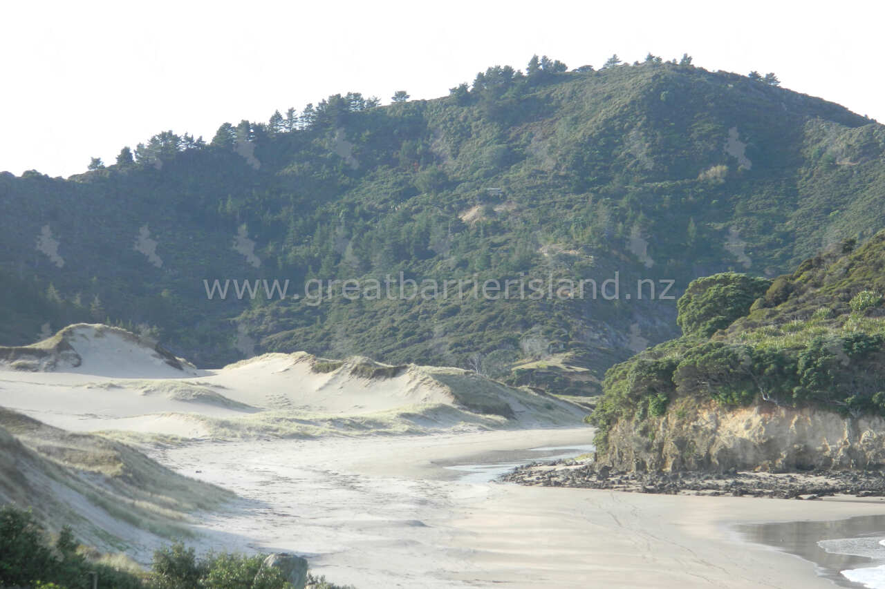Awana Bay - Great Barrier Island