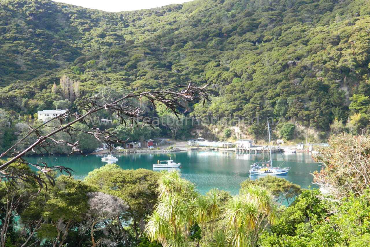 Port Fitzroy - Great Barrier Island