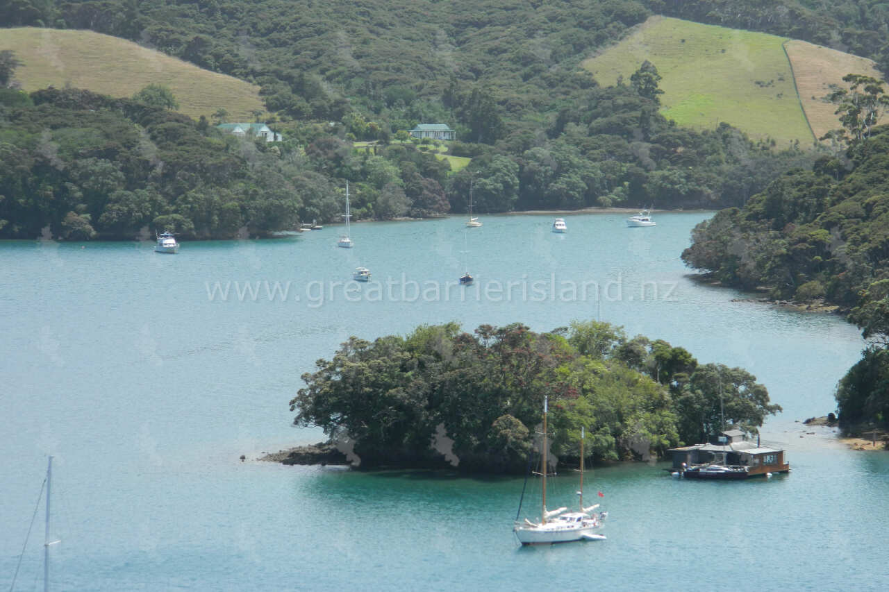 Port Fitzroy - Great Barrier Island