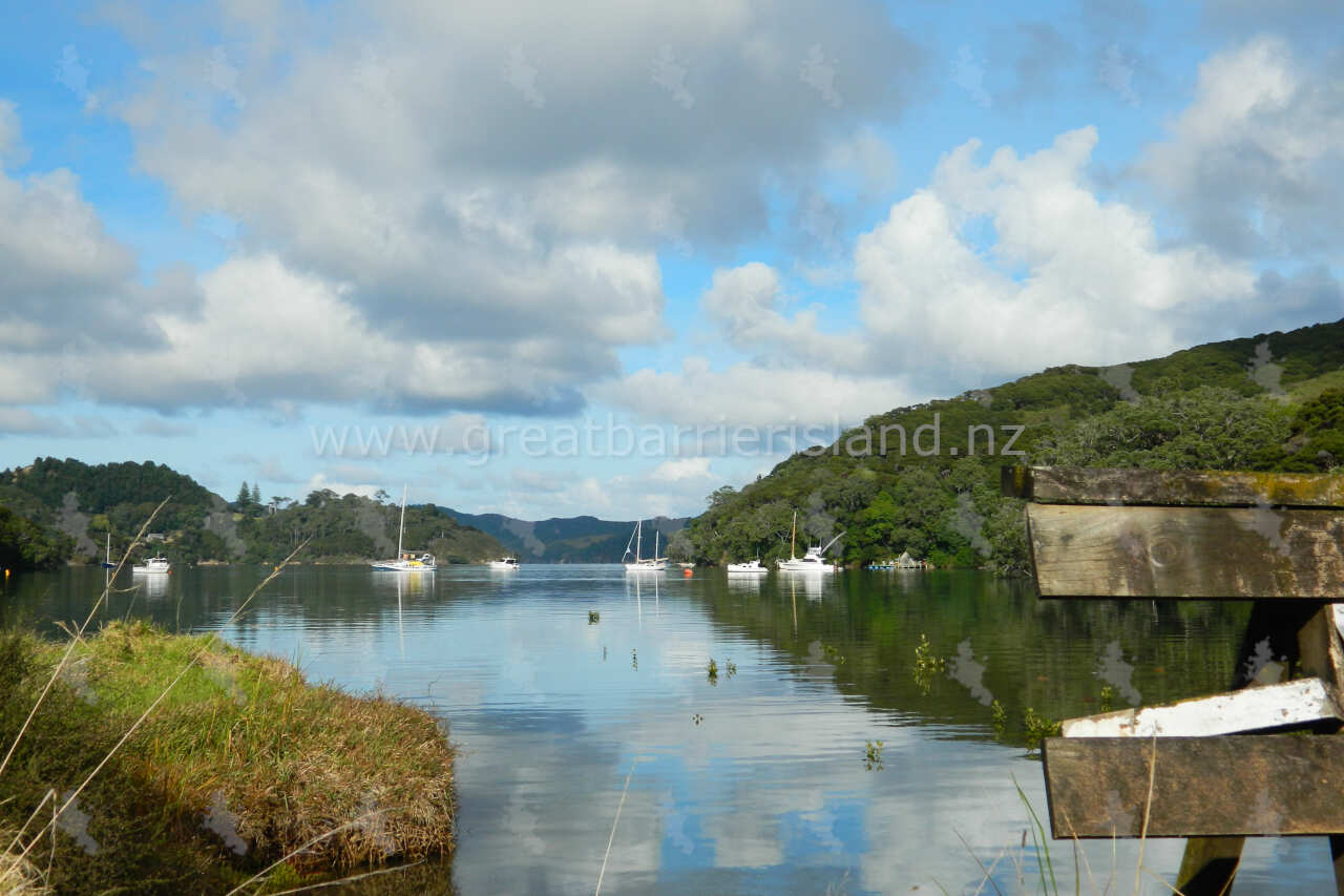 Port Fitzroy - Great Barrier Island