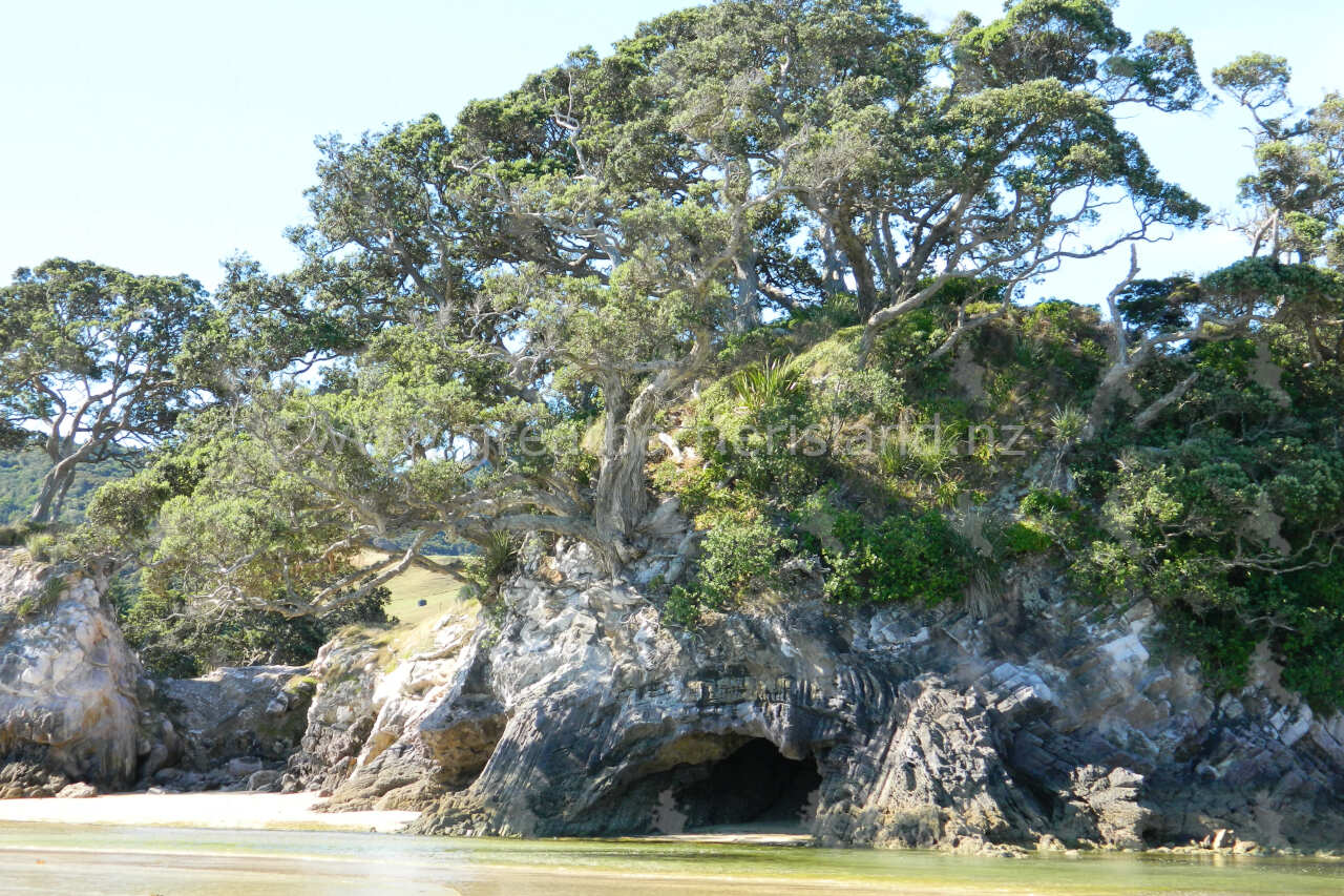 Tryphena - Great Barrier Island