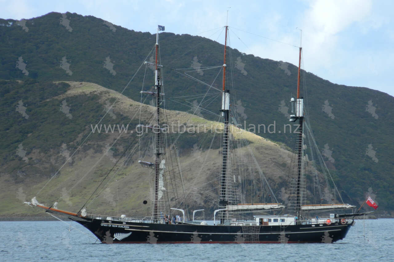 Tryphena - Great Barrier Island