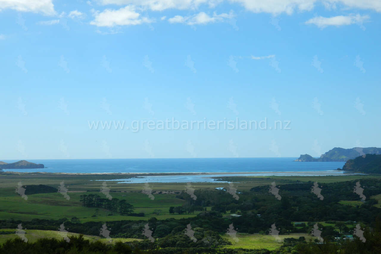 Whangapoua Beach - Great Barrier Island
