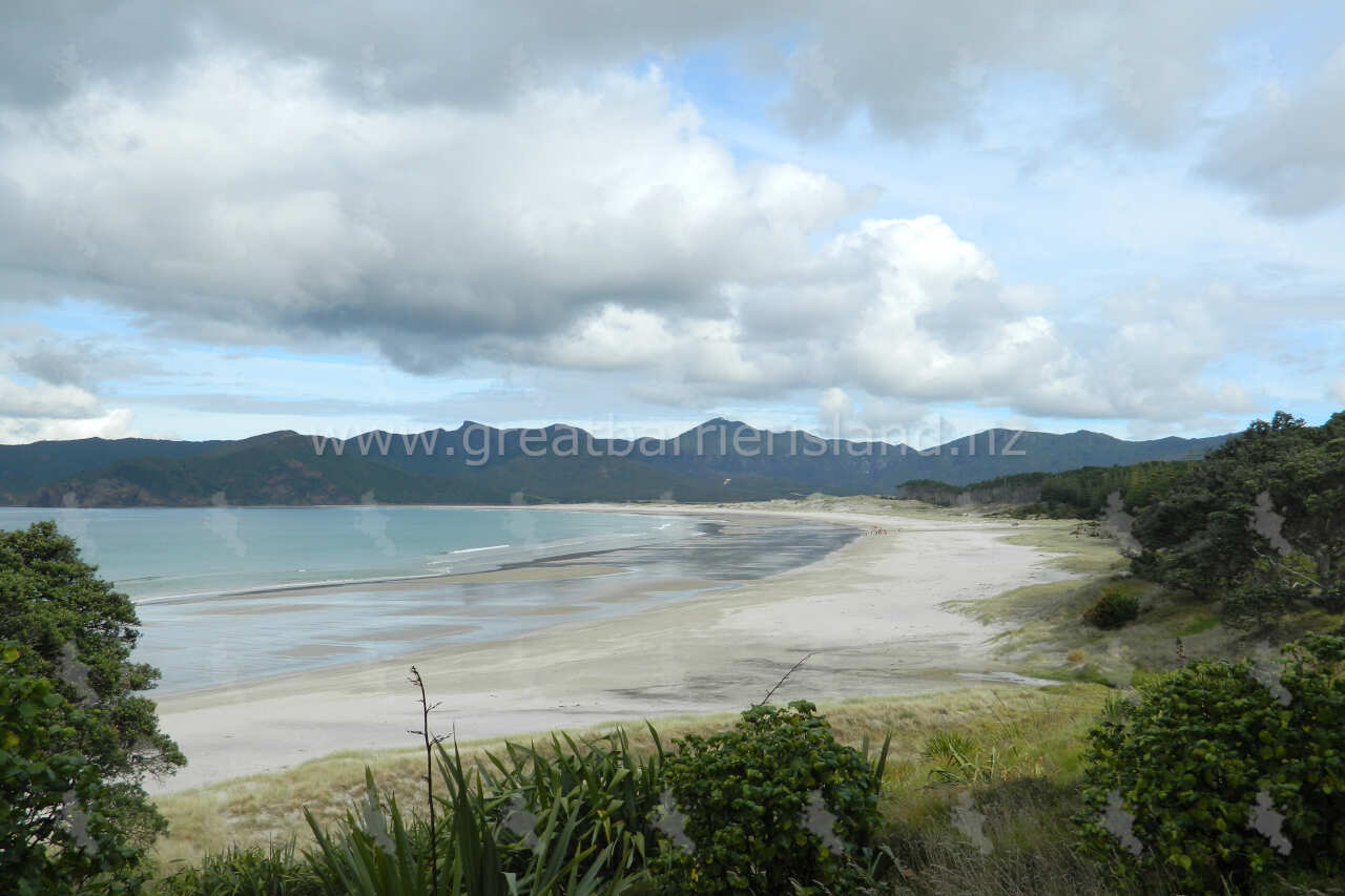 Whangapoua Beach - Great Barrier Island